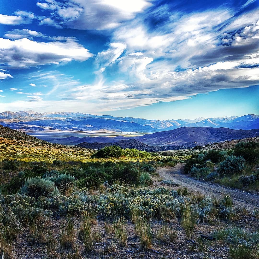 Topaz Ranch Life – Local resource for restaurants, services, real ...